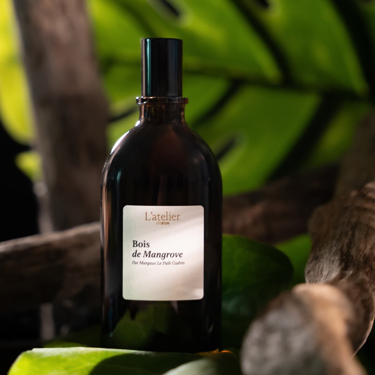 Olfactory Consultation Notes: The Art of Perfume Creation | 100BON